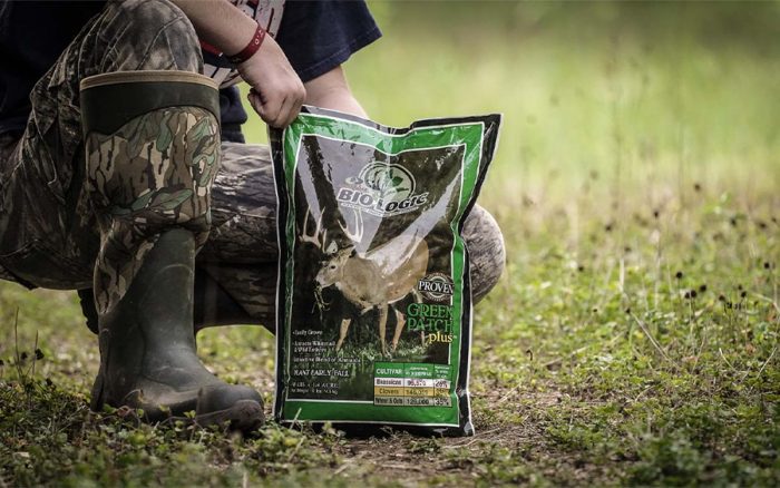 A Complete Guide to Food Plots - Everest News