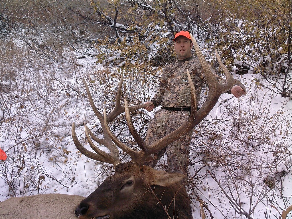 Pro Tips on Elk Hunting with Crossbows - Everest News