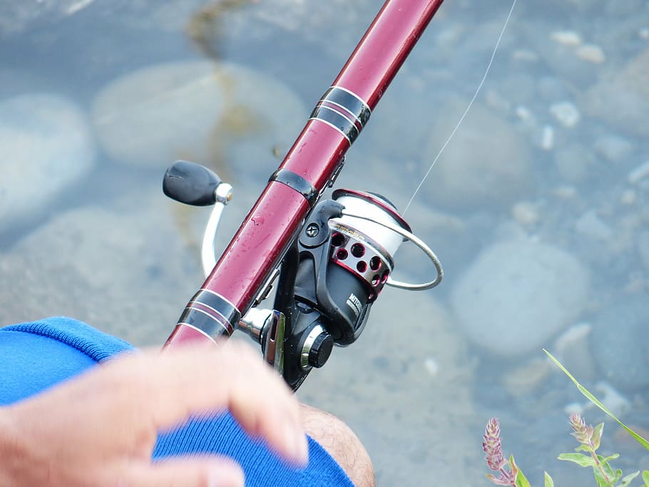 Best Baits for Spring Bass Fishing On Beds - Everest News